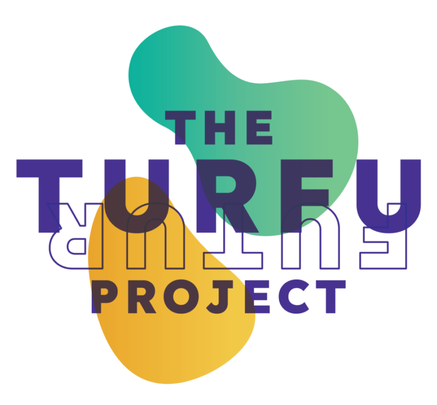 TURFU Project PACO Design Collaborative